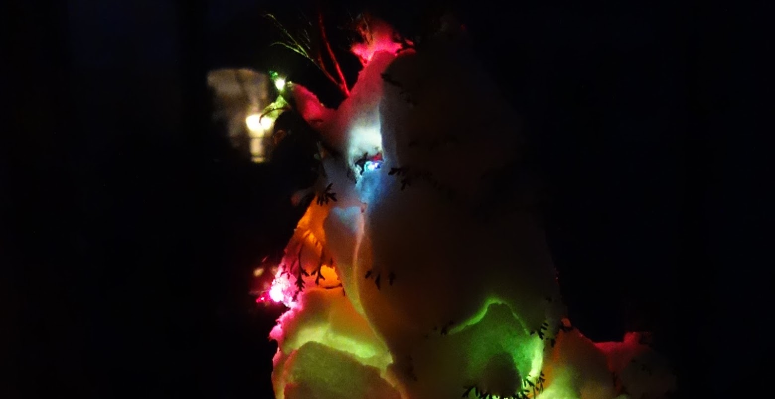 The Snowy Knight – Blue Shell Gallery